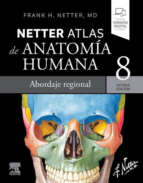 NETTER ATLAS DE ANATOMIA HUMANA ABORDAJE REGIONAL 8ª ED - Livriz Sell ...